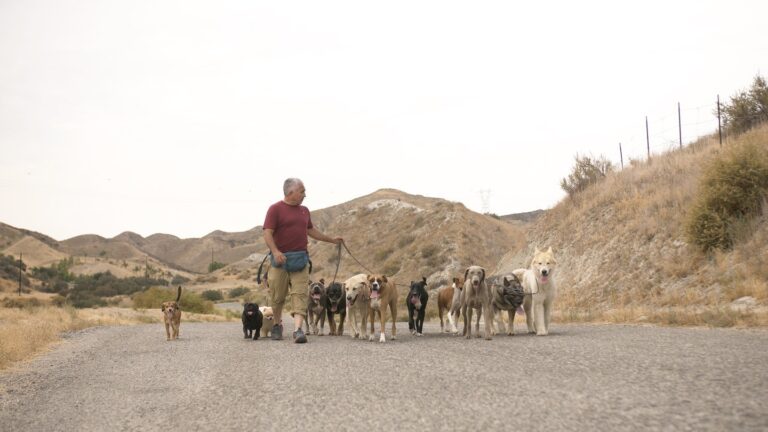Cesar Millan: Wiki, Age, Height, Bio, Wife, Family, Career, Net Worth ...