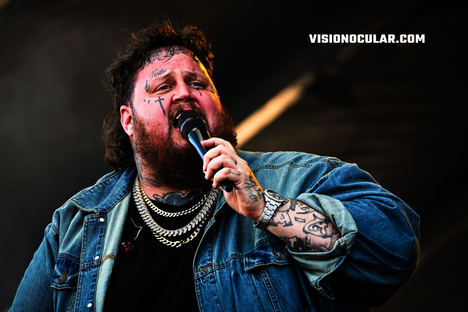 Jelly Roll: Age,Biography, Family, Education, Career Net Worth, Wiki ...